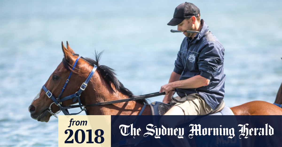 Canberra trainer Matthew Dale says TJ Smith Stakes still on Fell Swoop ...