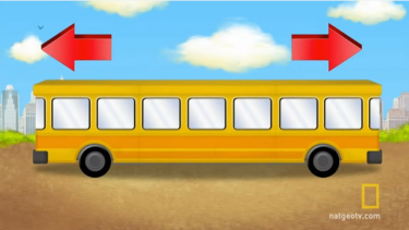 The National Geographic children's riddle that stumps adults: Can you ...