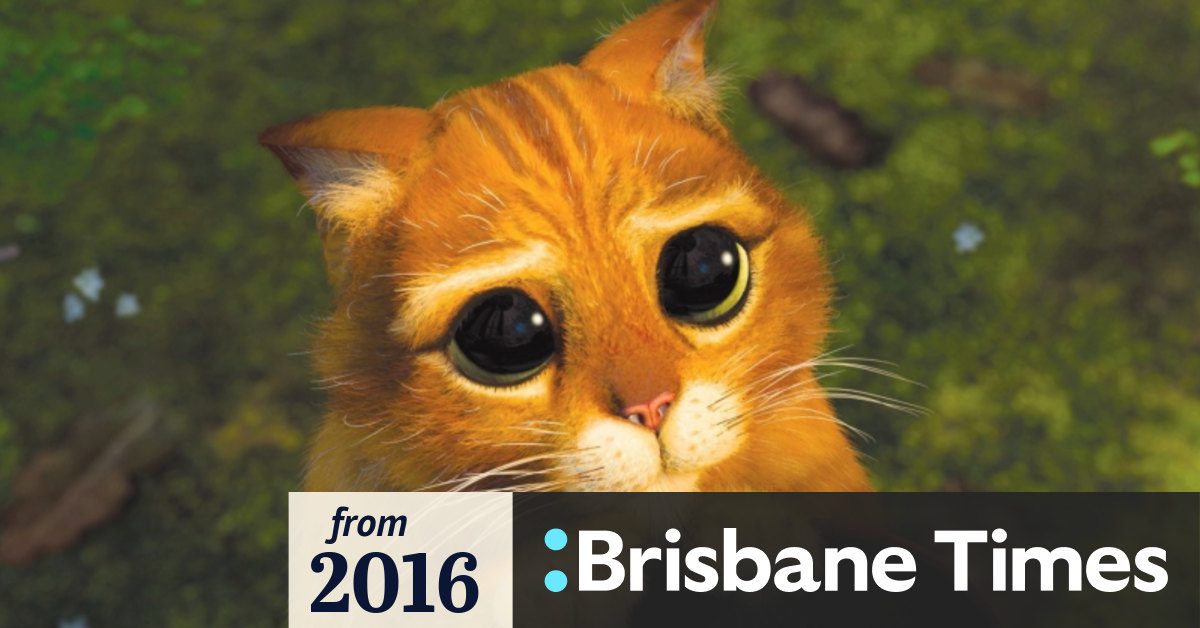 What do you call that feeling when you see something cute?