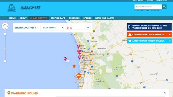 Warnbro proves a favourite spot for great white shark