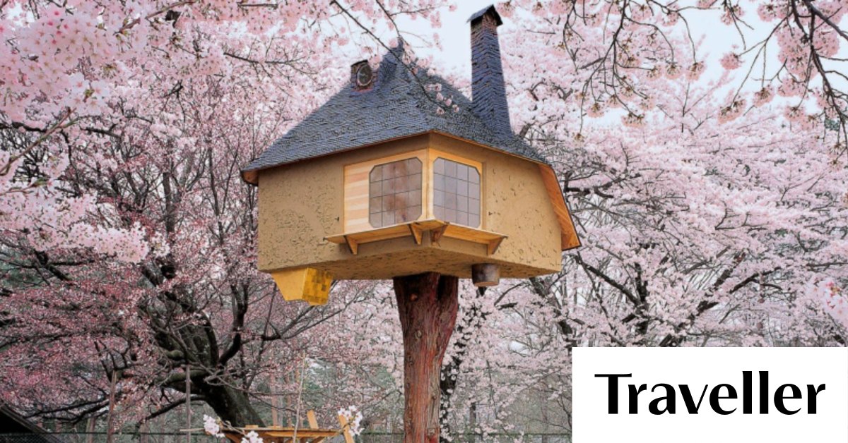 Unique places to stay: The world's 10 most extraordinary treehouse ...