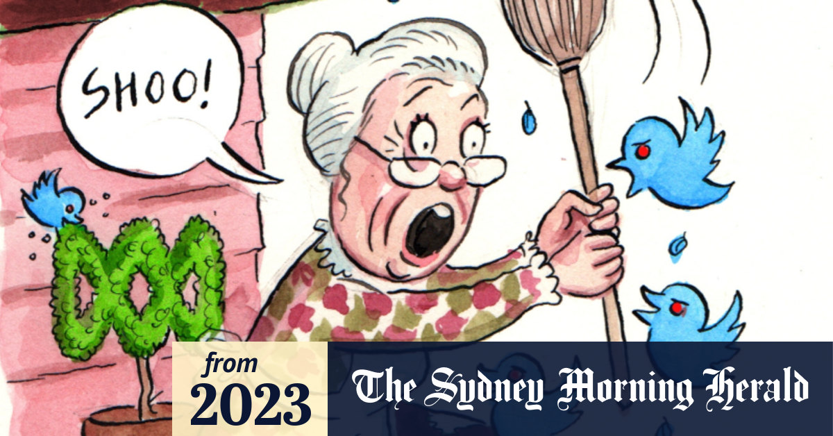 Best of cartoons, February 16, 2023