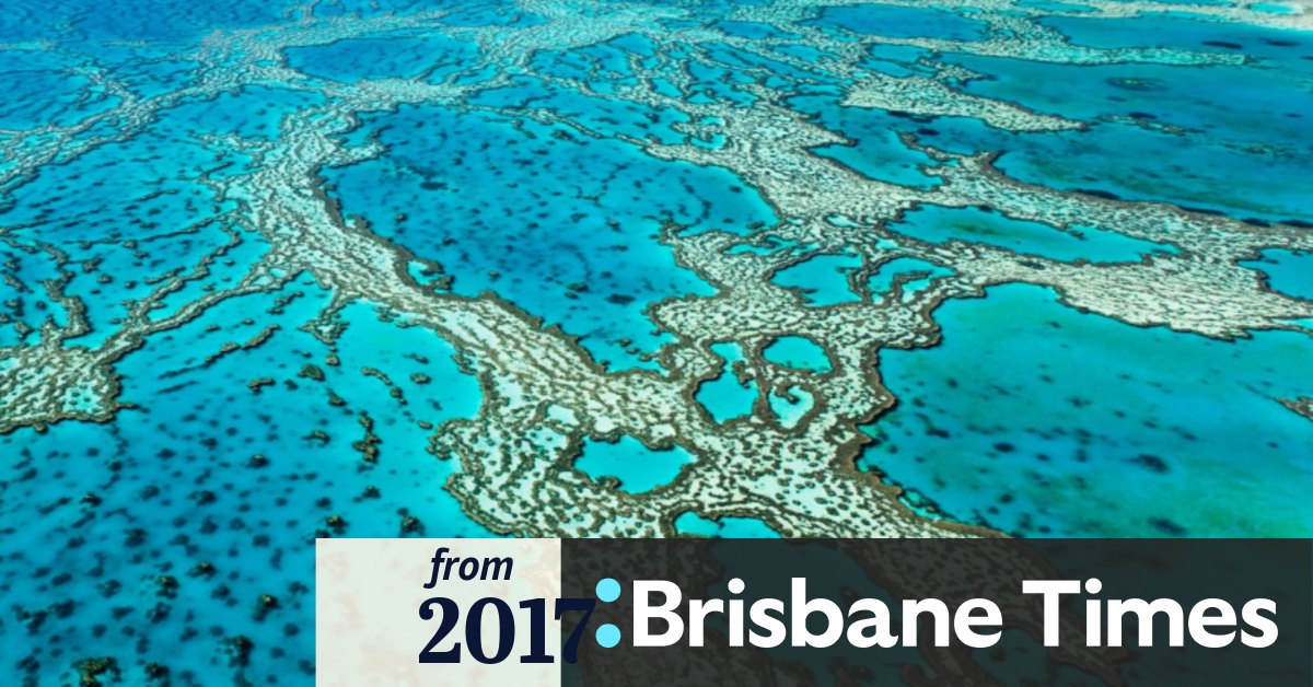 Great Barrier Reef plan must move faster: UNESCO