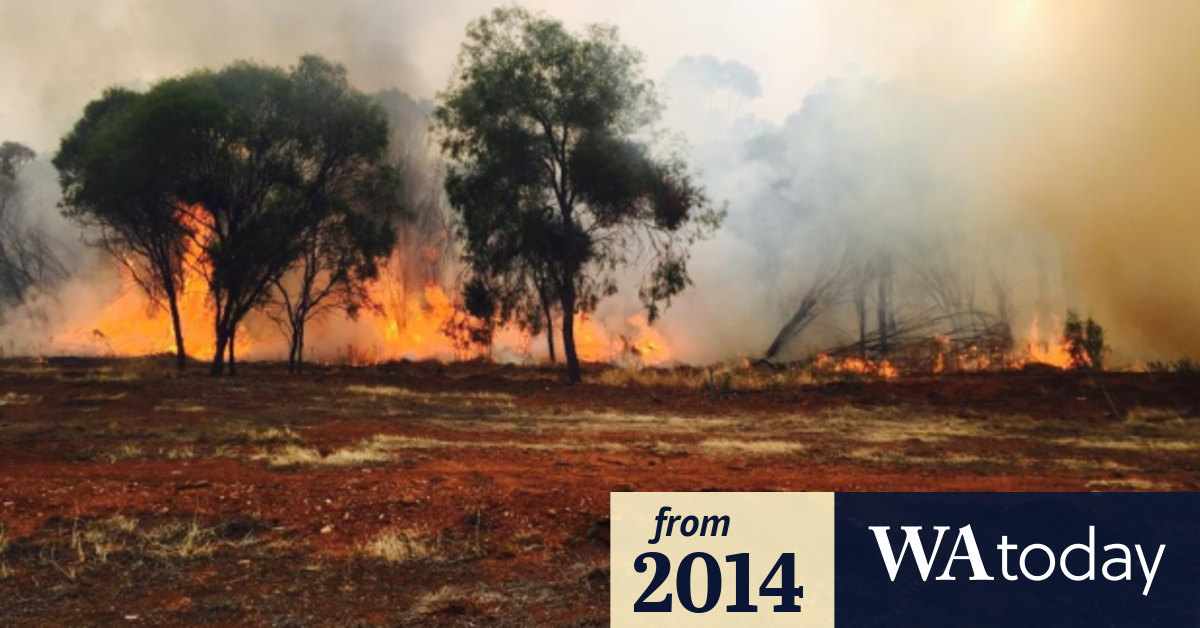WA bushfires brought under control after threatening Gingin homes