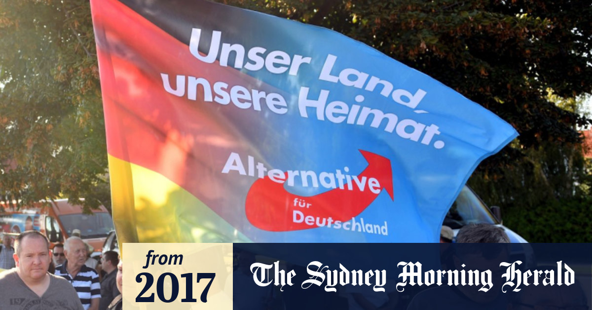 What is the AfD, Alternative for Germany party?