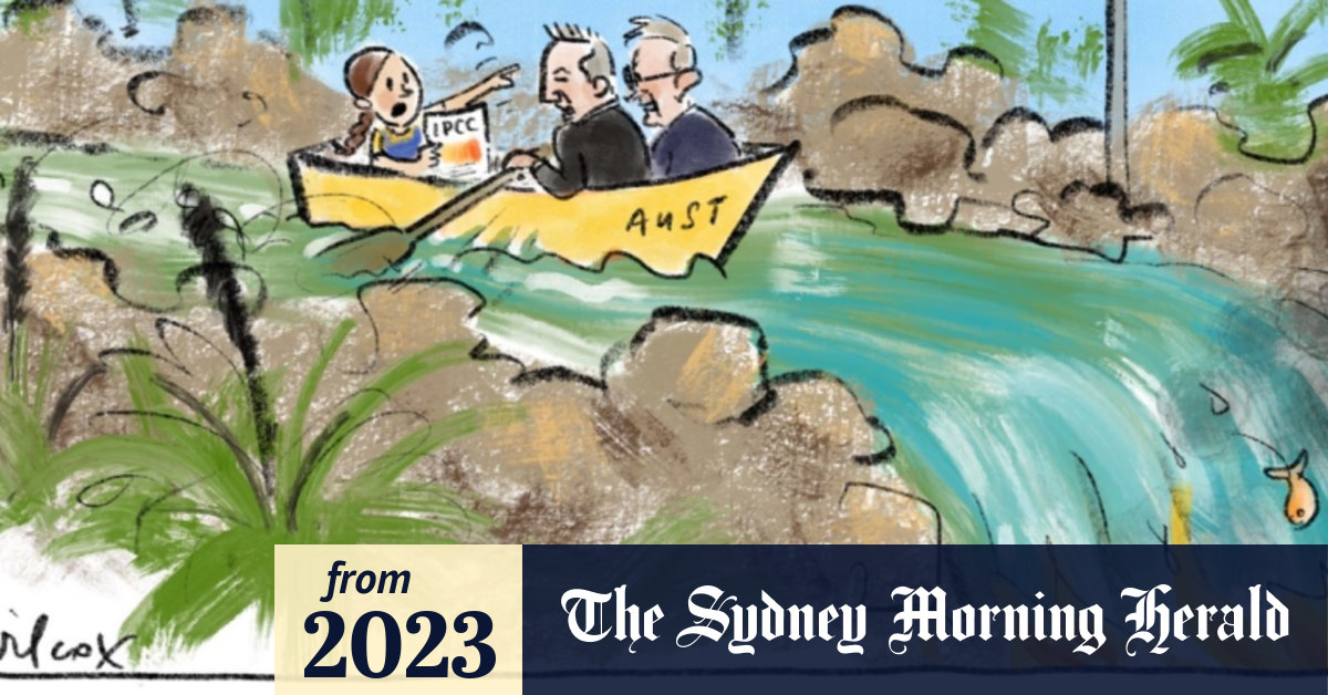 Cartoons of the week