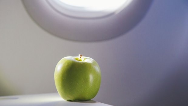 Apple costs plane passenger $US500: Why you should never take plane ...