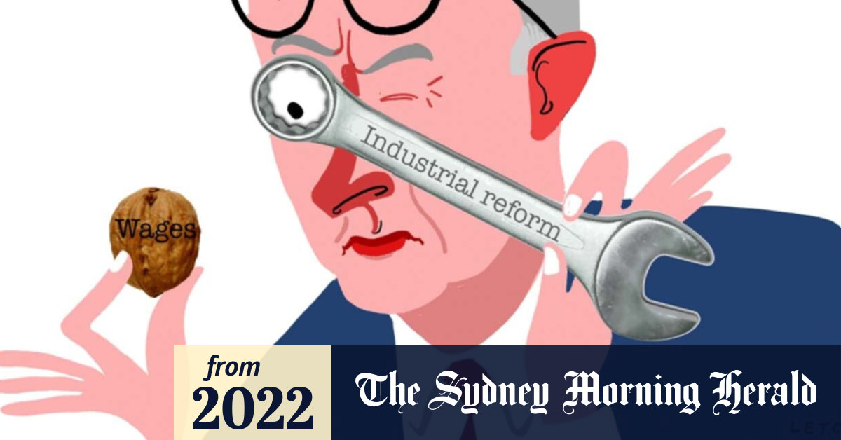 Best of cartoons, December 7, 2022