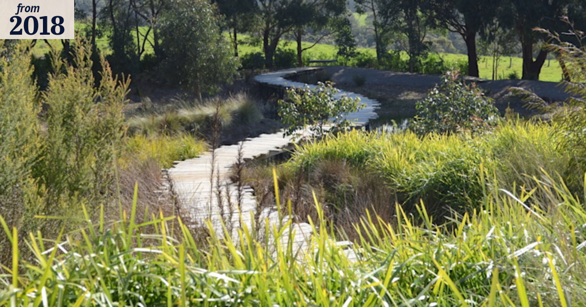 Last chance to see the dramatic gardens of Musk Cottage