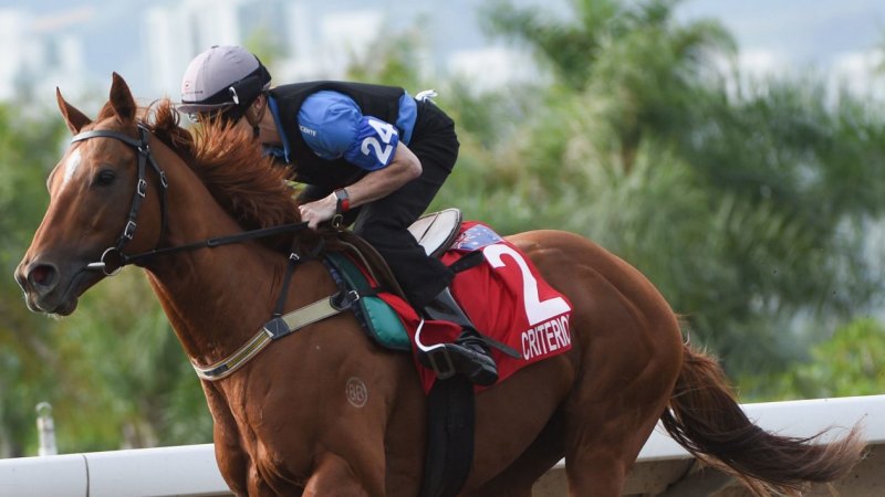 Australian jockeys on show against the best at Hong Kong International ...