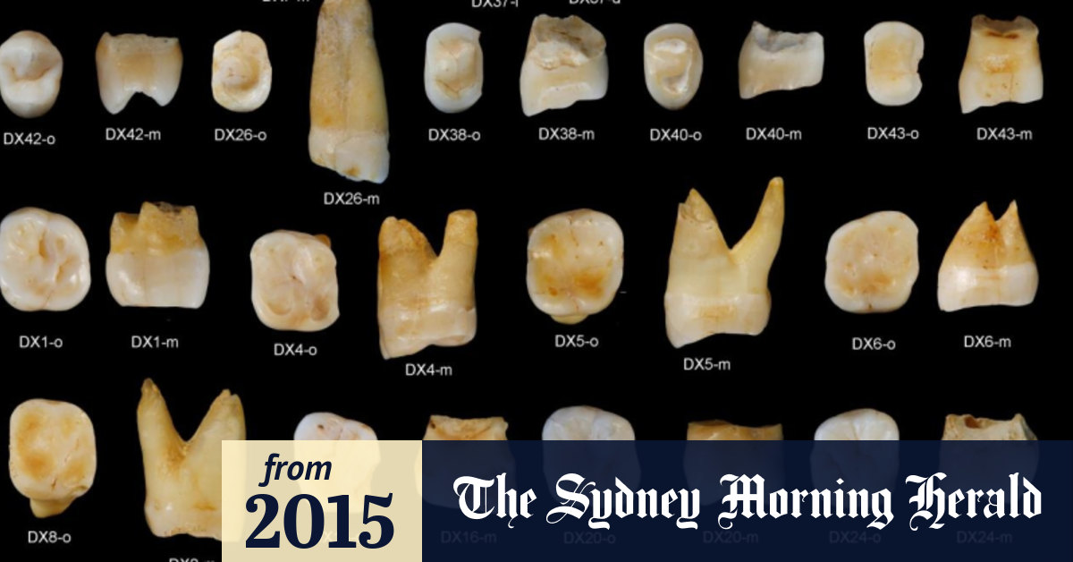 Ancient Chinese teeth could rewrite human history