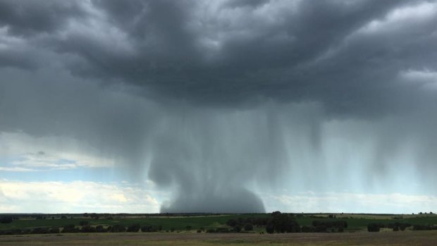 Microburst storm snapped as Sydney endures soggy start to school year