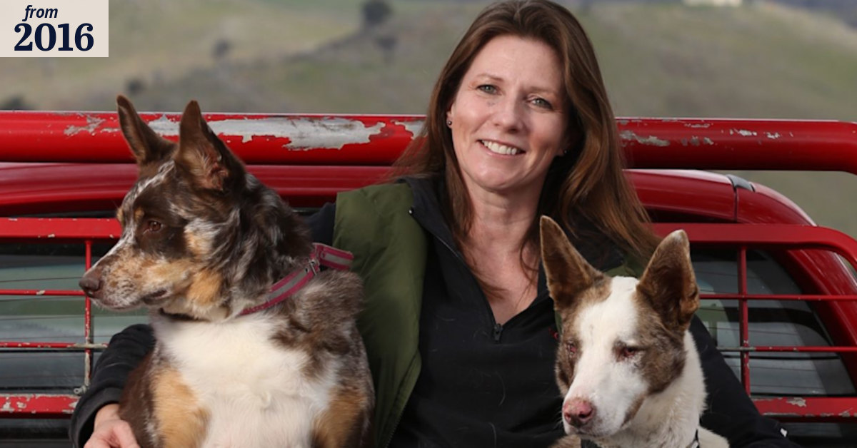 Overnight, whistleblower vet Lynn Simpson became a pariah – and then ...