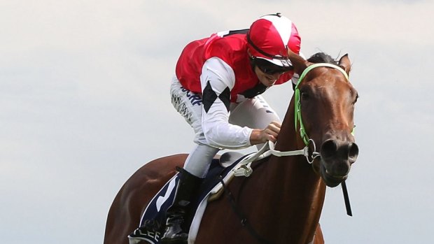 Jockey Mitchell Bell on way to hospital before Artlee wins Luskin Star ...