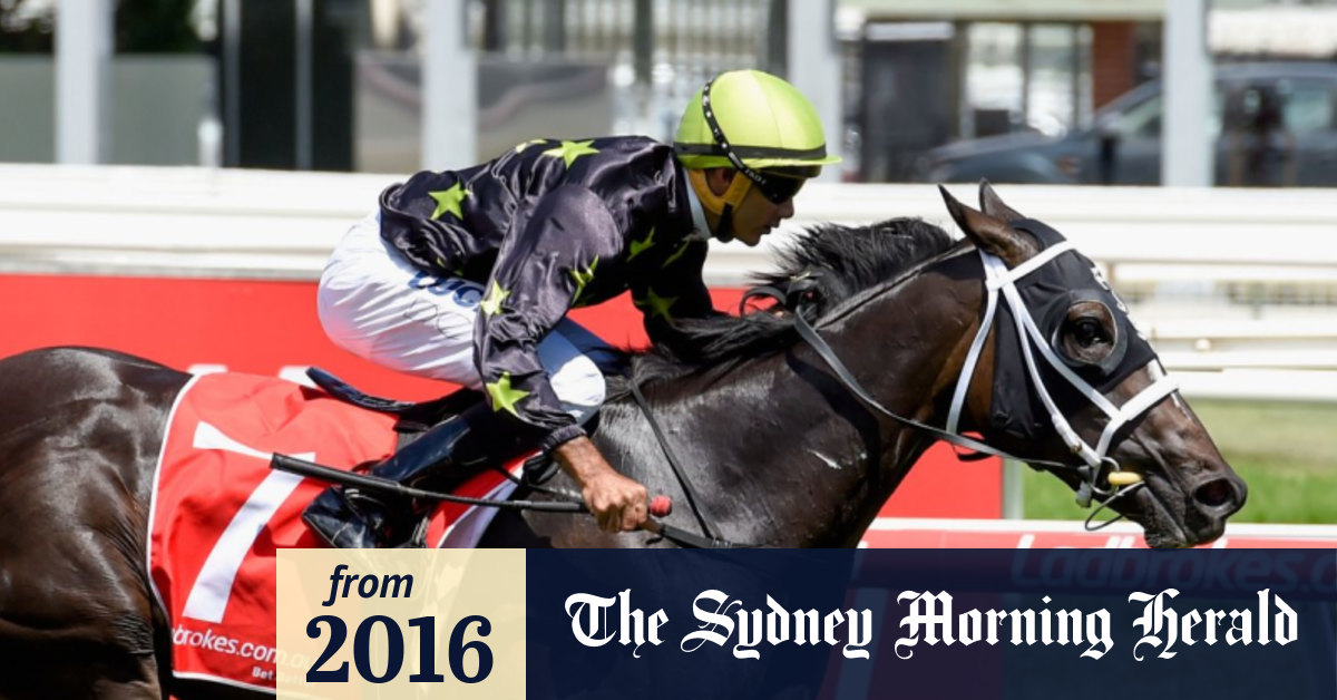 Rosehill trainer Gary Moore claims to have got a bargain with $300,000 ...