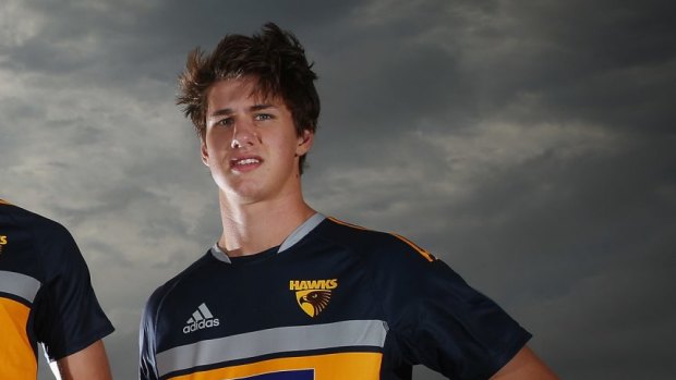 Hawthorn name Daniel Howe for grand final re-match