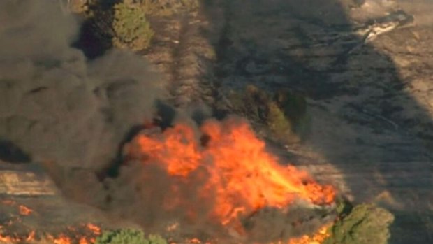 Teenagers 'dumped, set fire to rubbish' while pine plantation bushfire ...