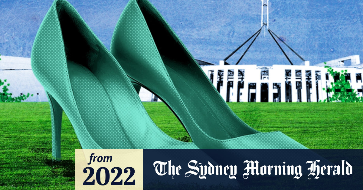 Best of cartoons, December 20, 2022