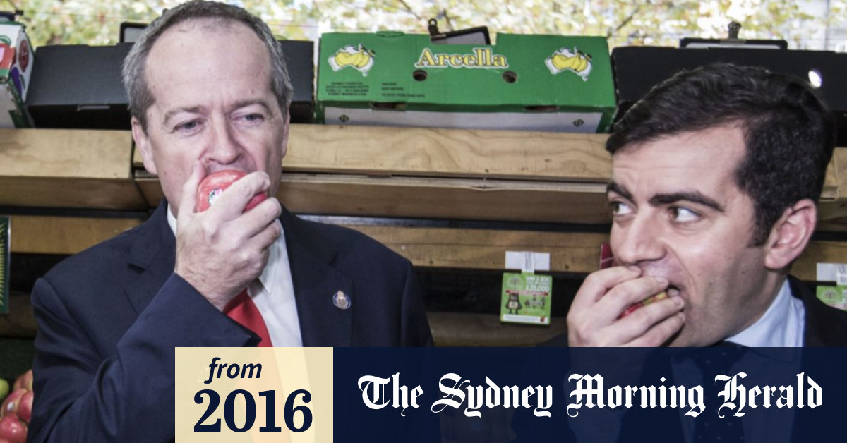 Labor's Sam Dastyari on the power of being a show pony