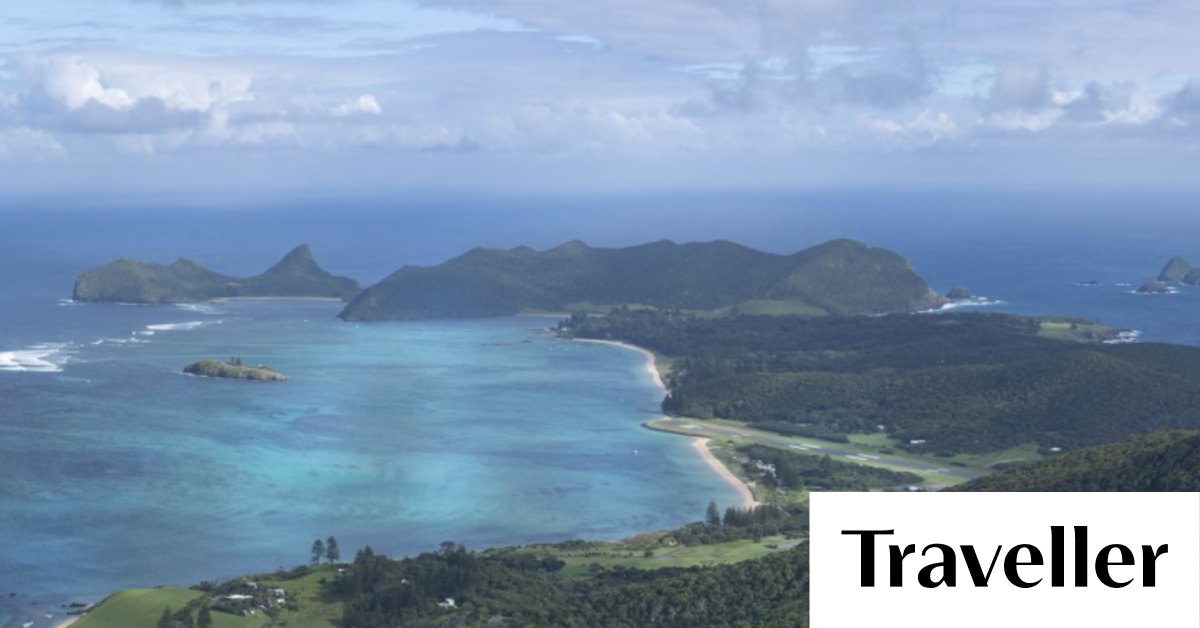 Blue Peter Beach House: The closest accommodation to the beach on Lord ...