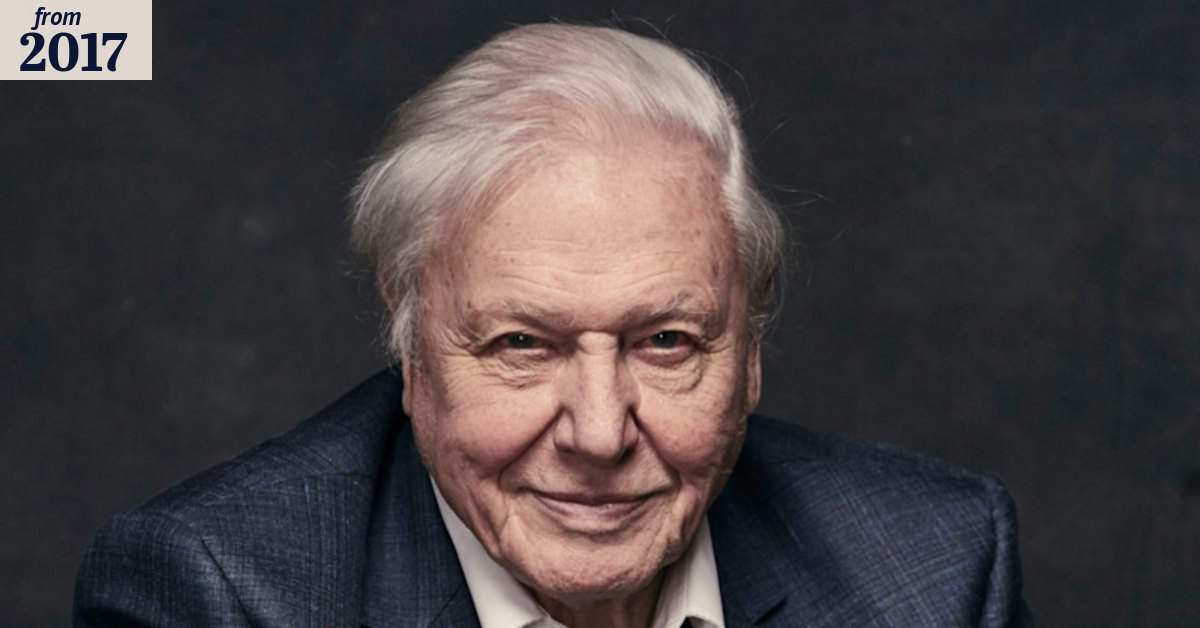 robert attenborough anu