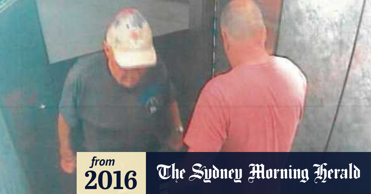 Rogerson and McNamara blame each other for Jamie Gao's death