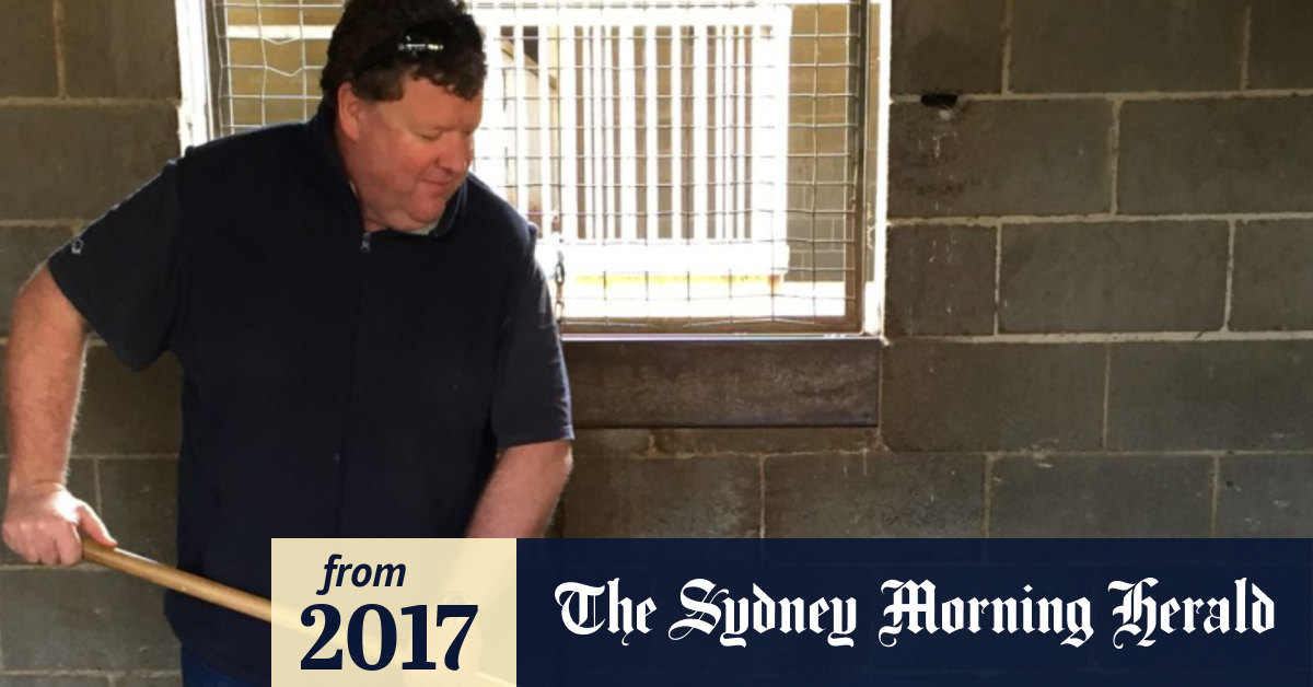 Single Gaze co-owner Martin Hay cleans up ahead of Caulfield Cup run