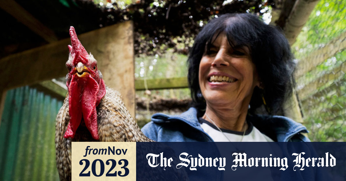 “That crazy chicken lady”: American animal rights activist Karen Davis ...