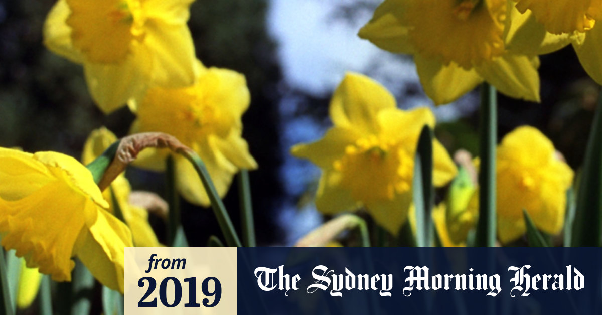 The best Spring gardening events in NSW