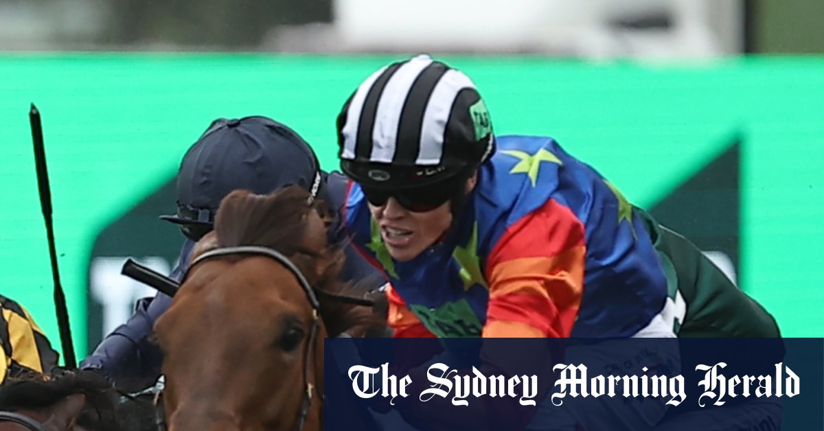 You beauty Bella: Williams’ trust in star mare delivers racing’s ...