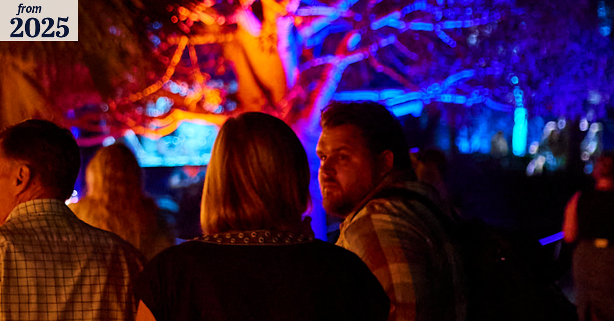 Brisbane Festival: Afterglow brings fire, art to City Botanic Gardens