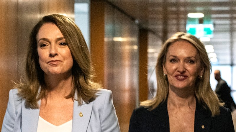 NSW Liberals: Female MP Natalie Ward faces preselection challenge