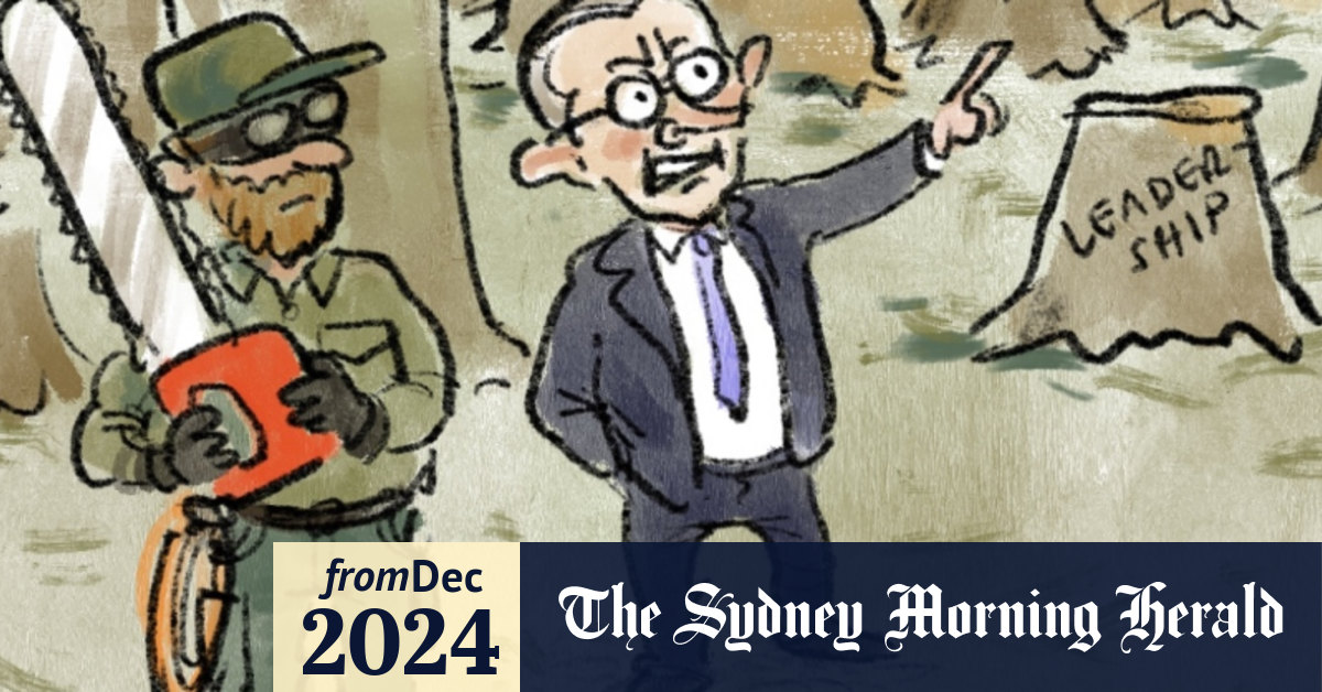 Best of cartoons, December 5, 2024