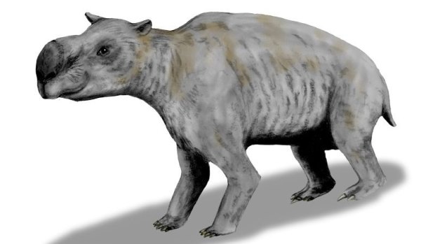 Australia's megafauna wiped out by humans, research finds