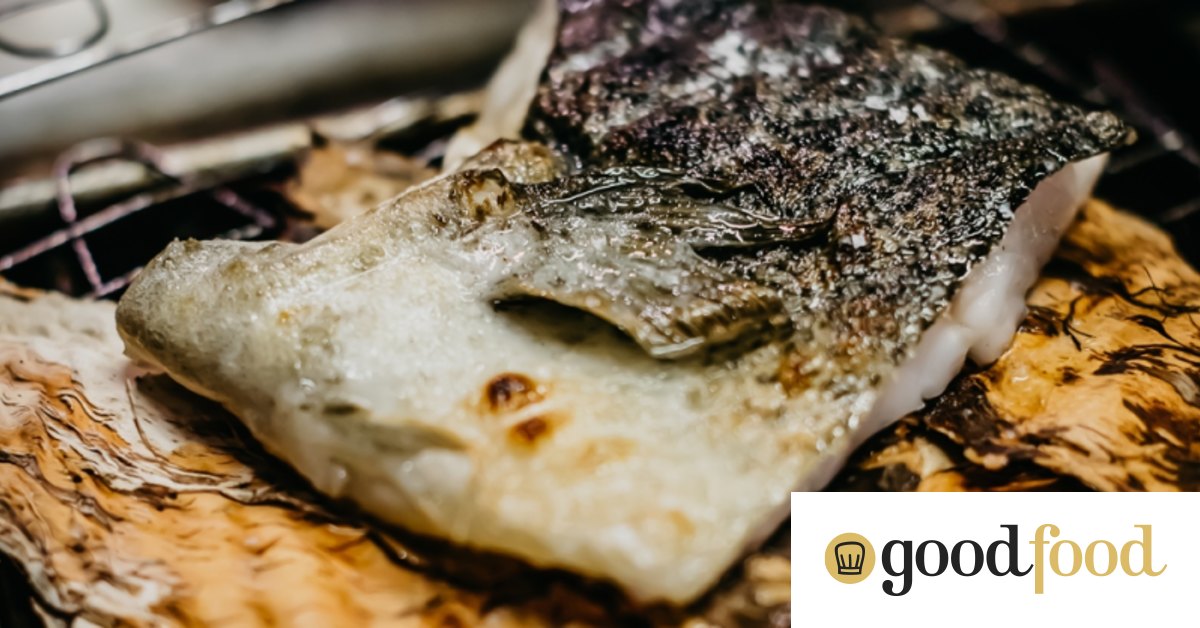 How Murray cod is making a comeback in Sydney