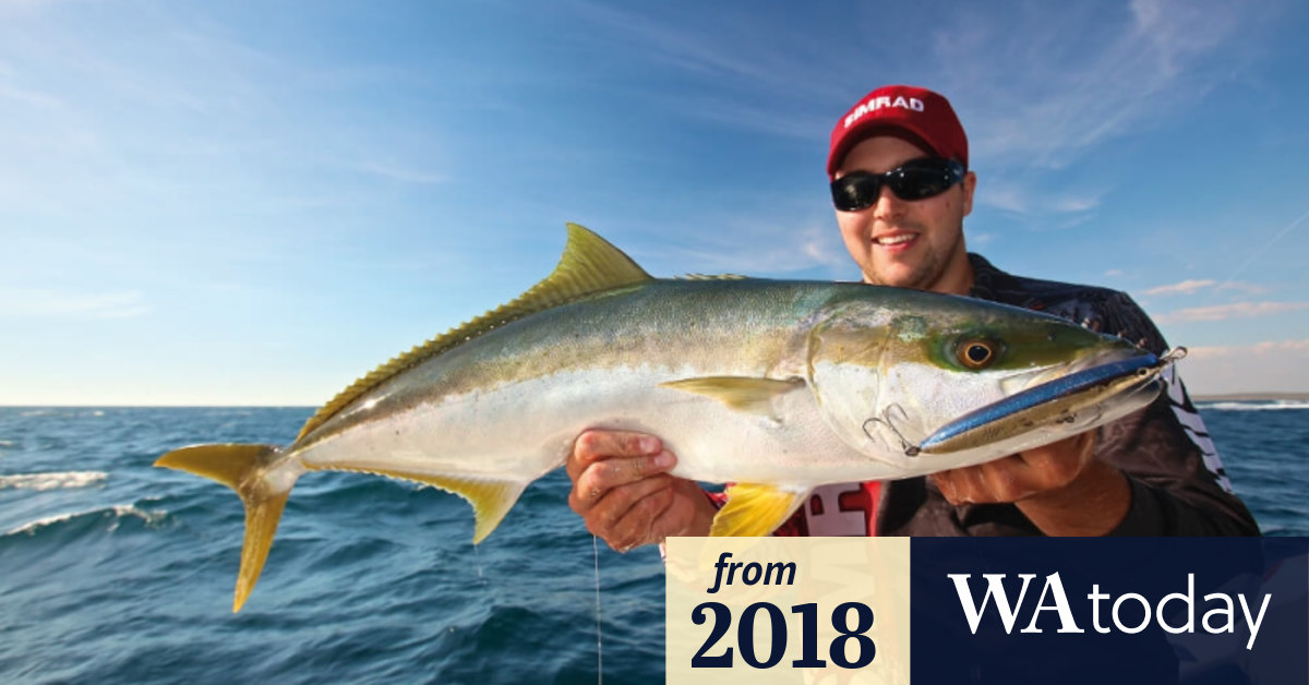 Perth fishing tips: Your guide to where the fish are biting this weekend