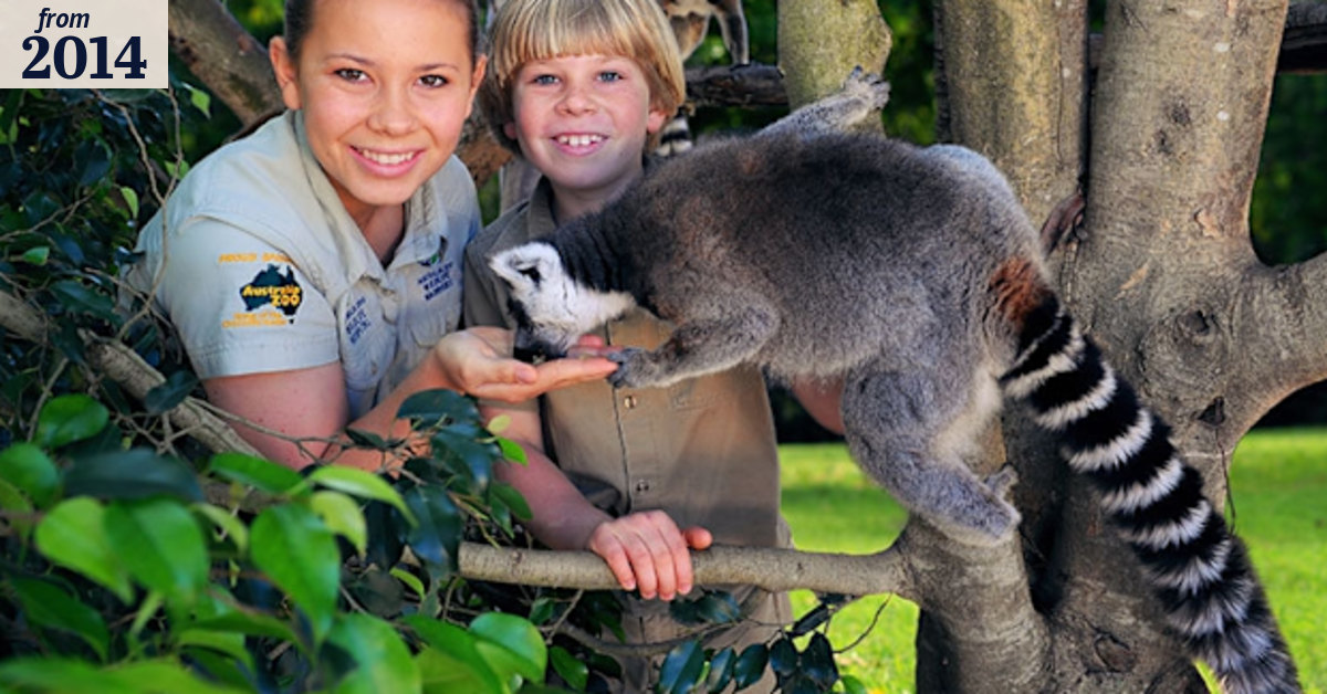 Win passes to Australia Zoo to visit Bindi's Island
