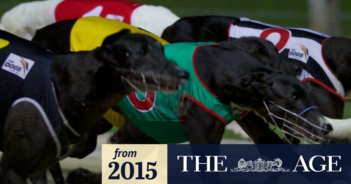 Live baiting interim report on greyhound racing released by Sal Perna