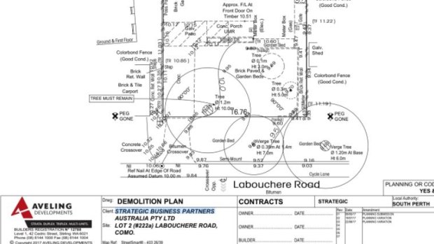 Perth developer faces shady conduct claims over big tree