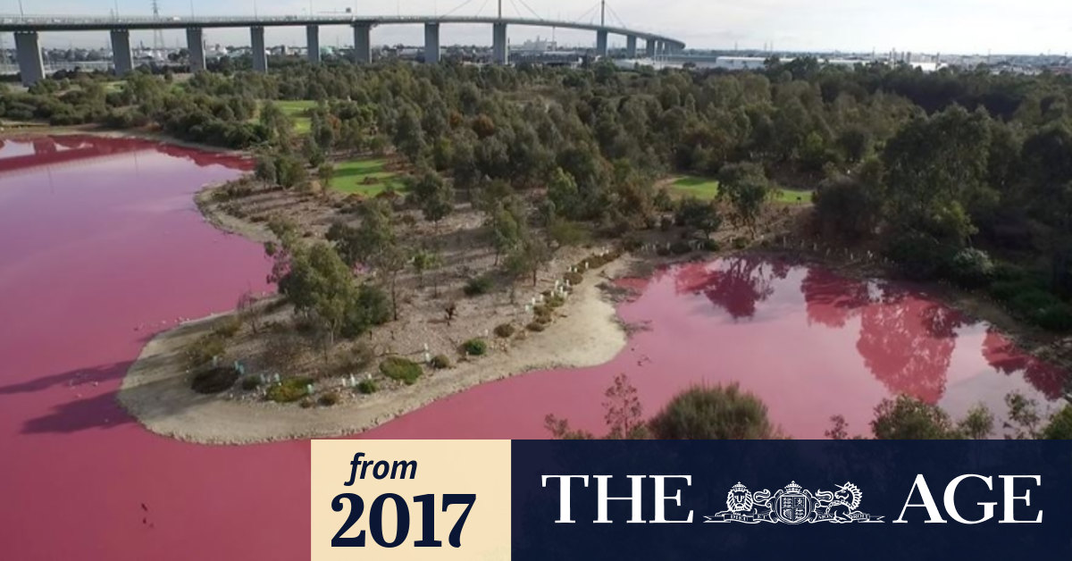 Melbourne's Westgate Park lake turns bright pink