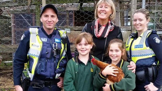 Stolen chickens reunited with owners