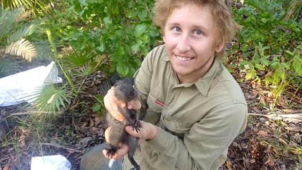 Black-footed tree rat returns to WA after vanishing for 30 years