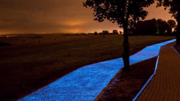Poland creates the world's most beautiful bike lane that glows in the dark