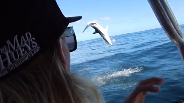 Secret Harbour fisherman posts amazing video of Sharknado moment