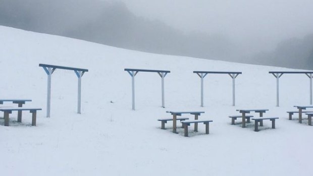 More snow hits Otways, wind and freezing weather ahead for Victoria