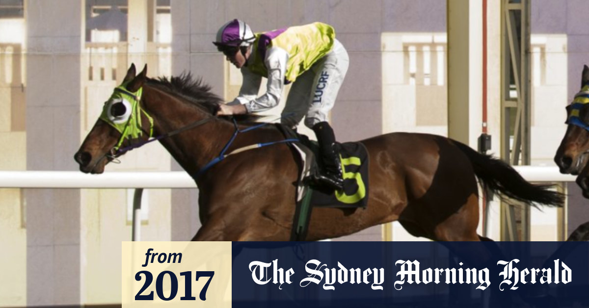 Queanbeyan trainer Joe Cleary has War Jet set for $1 million Magic ...