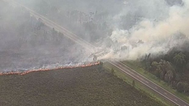Sunshine Coast bushfire a 'warning shot' of more to come: fire ecologist