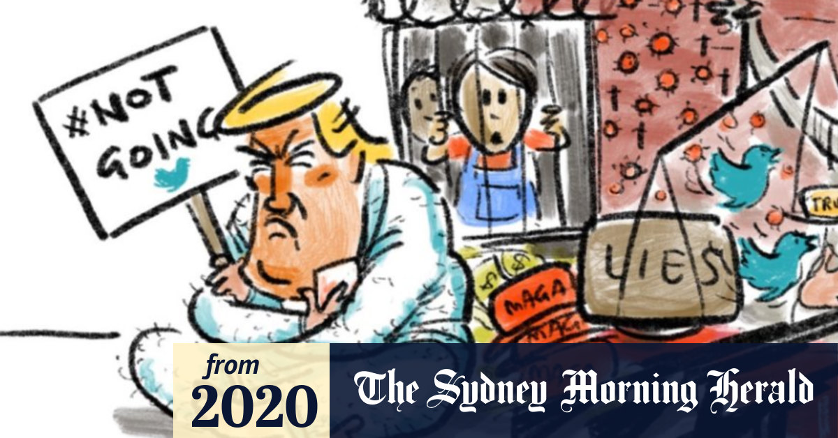 Best of cartoons, November 10, 2020