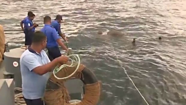 Sri Lanka Navy rescue elephant found in the middle of the ocean