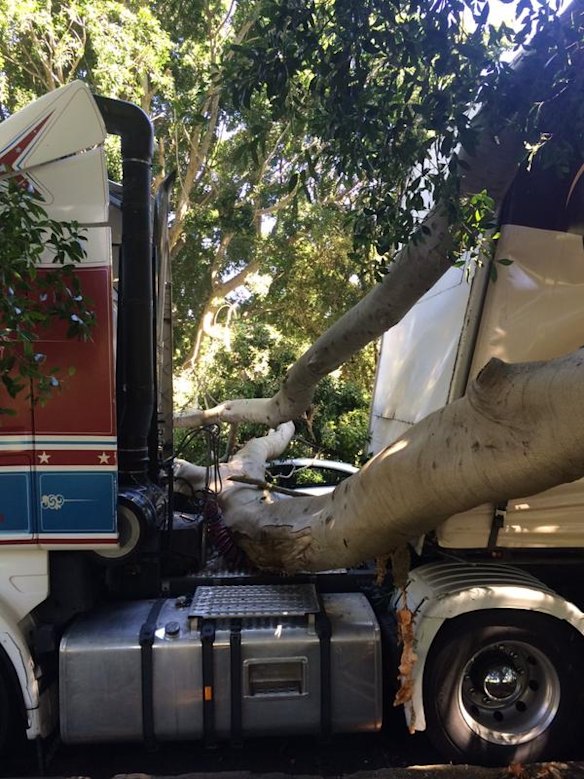 Sydney traffic: Dacey Avenue closed after tree branch hits cars